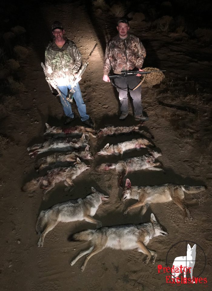 3 day Predator Hunting Trip - Predator Exclusives