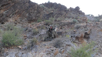 Predator Hunting Bipod - Predator Exclusives